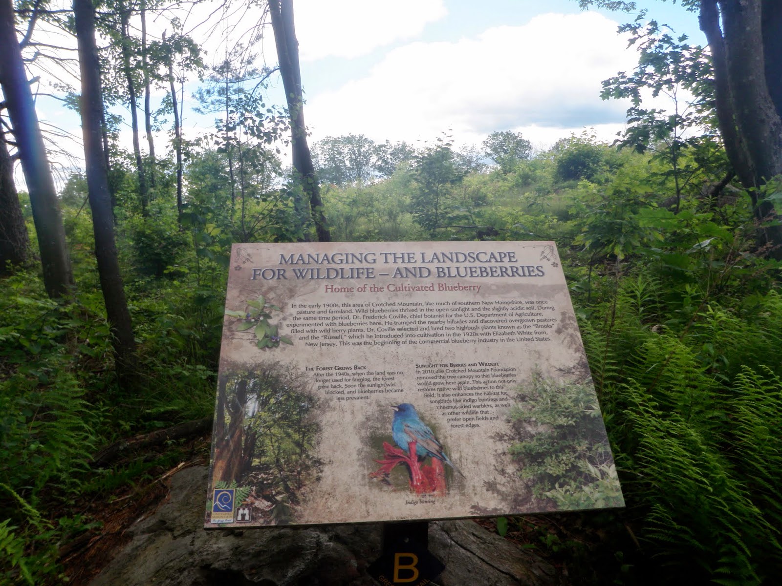 Trekking For A Cure. Giving MS The Boot!!: Monroe Hill (Fox State ...