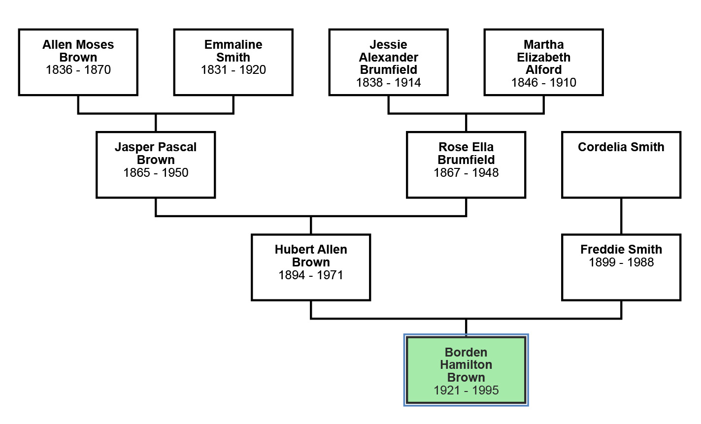 Leaves & Branches: Forget Me Not: Borden Hamilton Brown