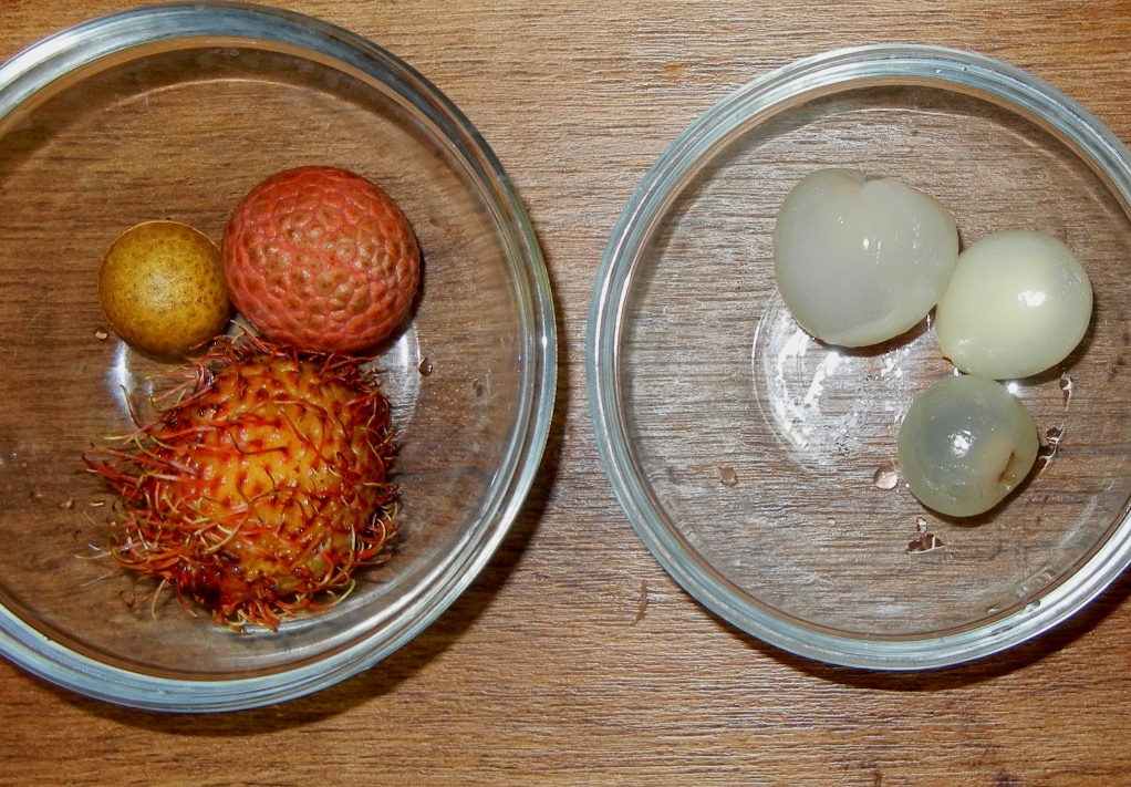 A photo, A thought............: Food: Rambutan and its other popular ...