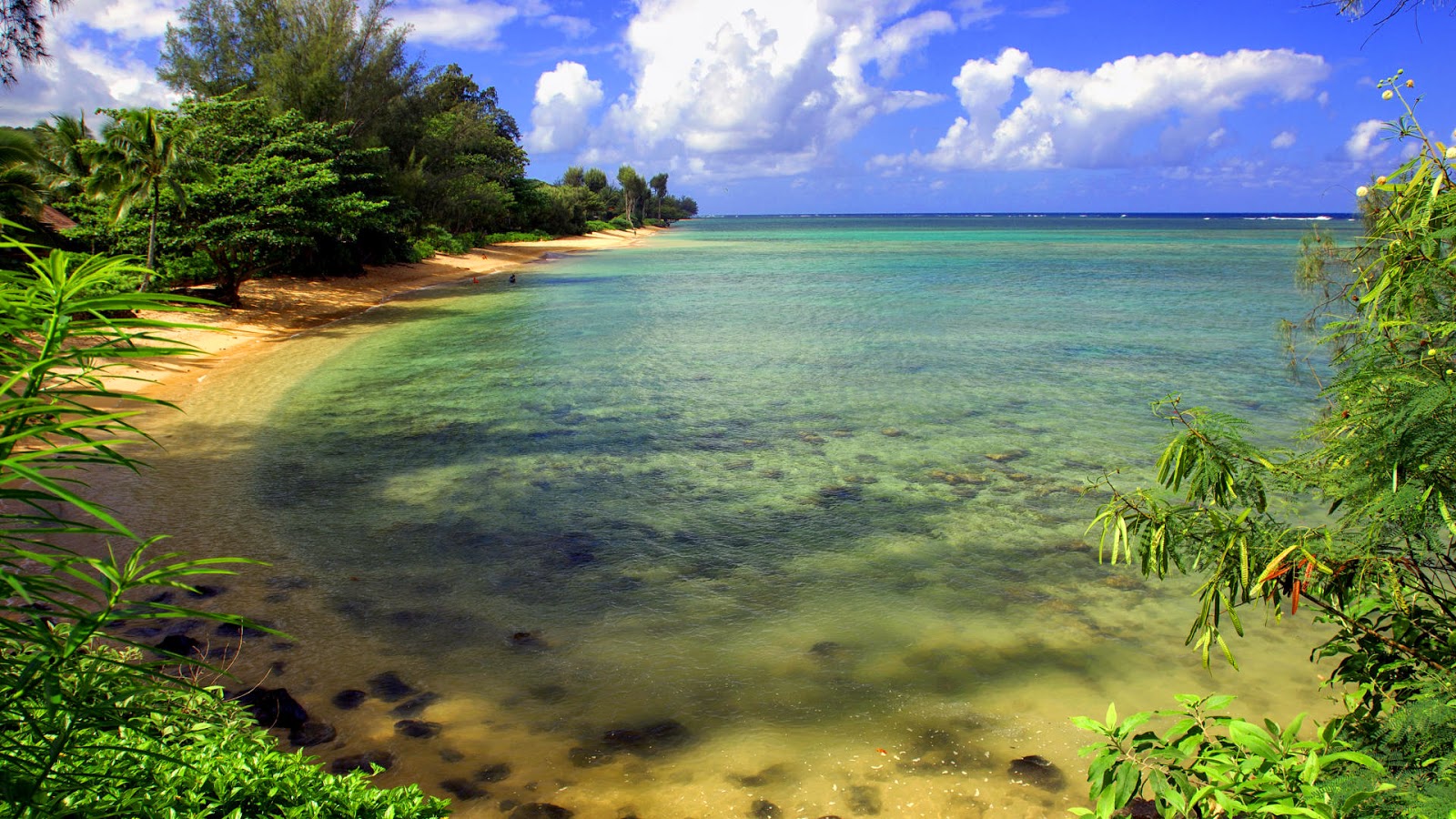 7 Beautiful High Definition Computer Desktop Wallpapers Bangla Books PDF 7-beautiful-high-definition-computer-desktop-wallpapers-bangla-books-pdf