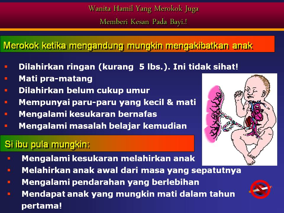 Kami Bestari Tanpa Dadah: KANDUNGAN RACUN BERBAHAYA DALAM ROKOK DAN ...