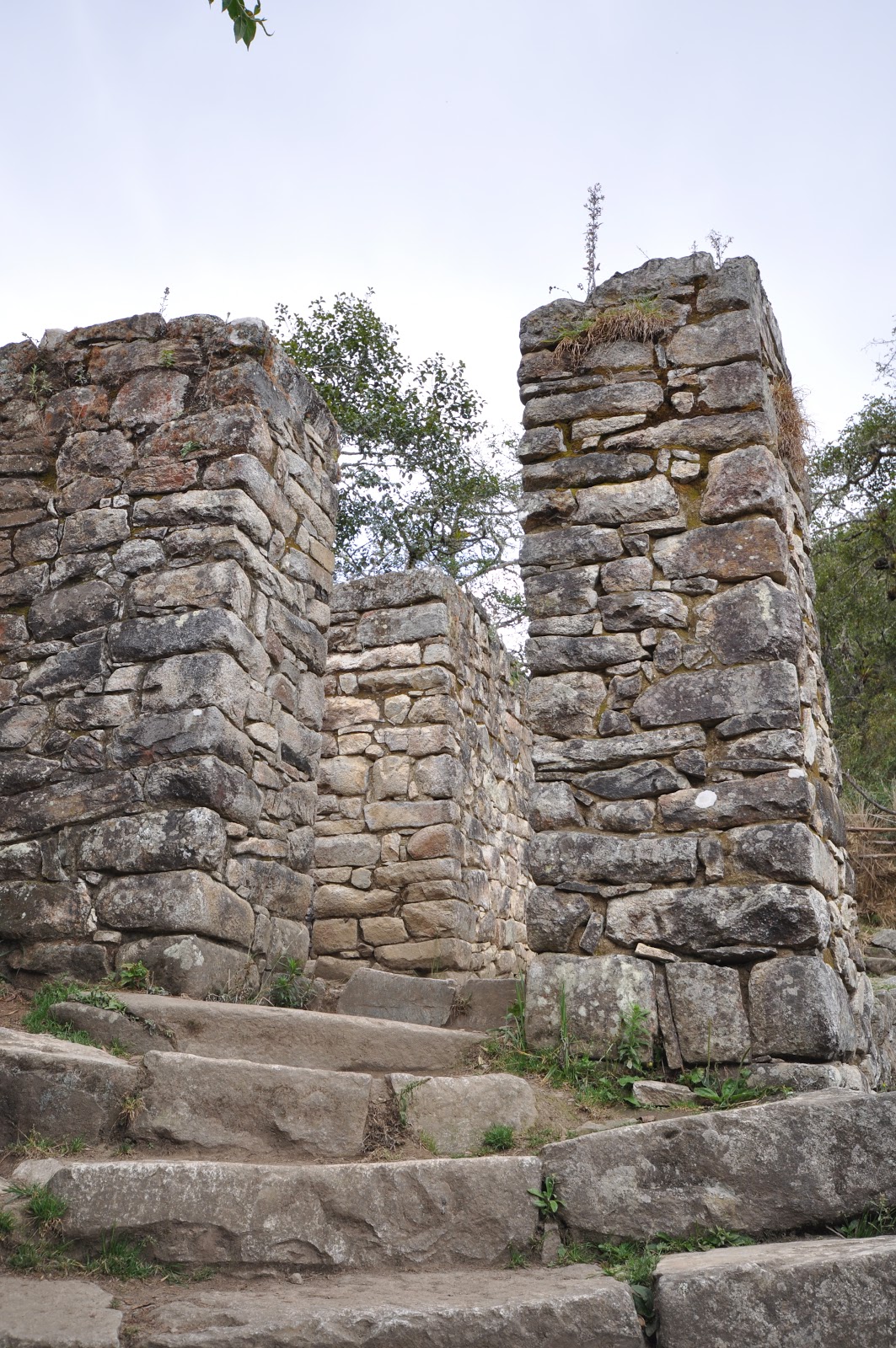 Travels with rarecat: Machu Picchu - the Sun Gate