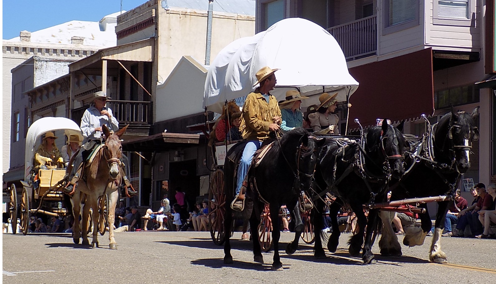 The American Cowboy Chronicles: "Days of '49" Wagon Train Parade