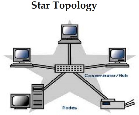 Types Of Network Topology | Perfect Computer Notes