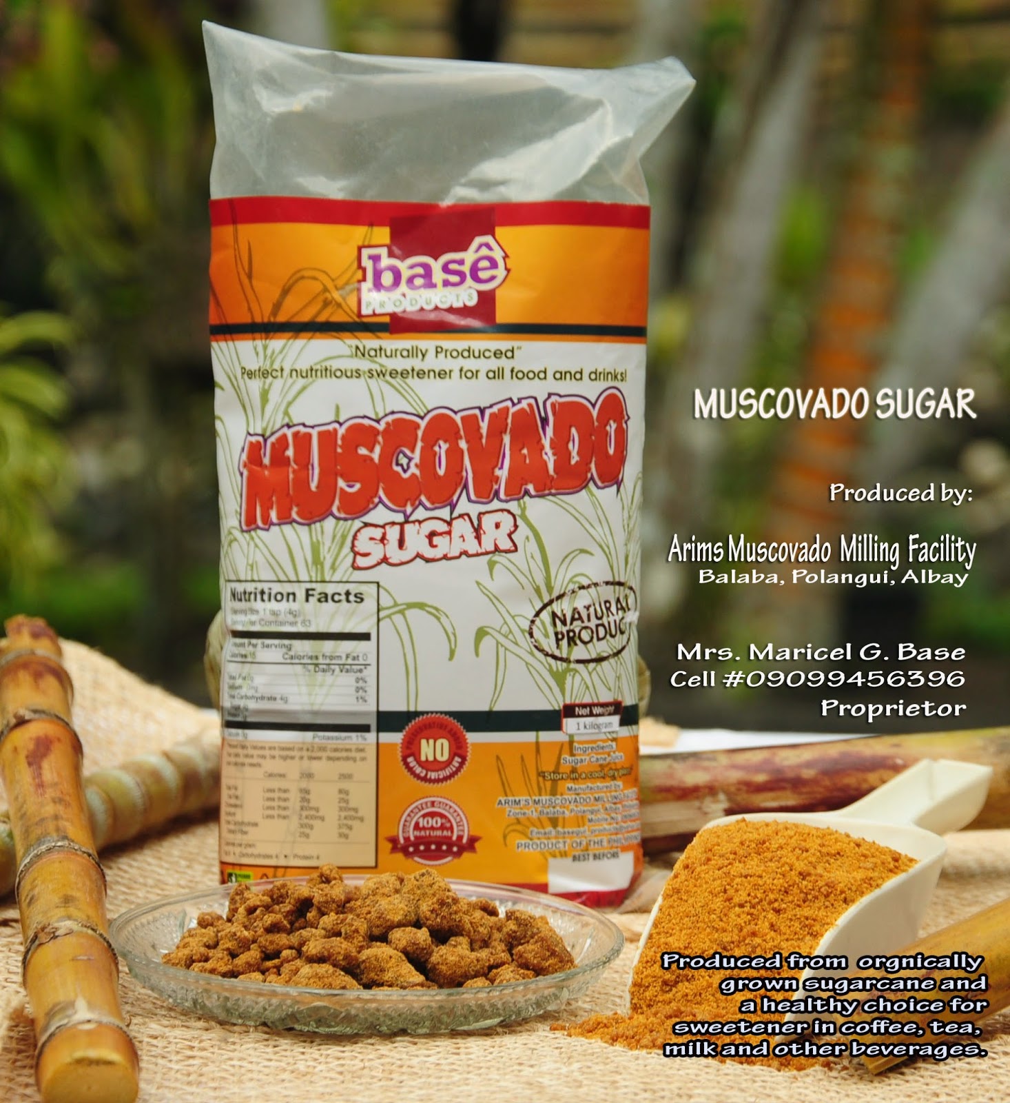 DTI CARP BIKOL Products: muscovado sugar produced by Camarines Sur ...