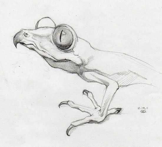 Mikey's Art - the art of Michael J. Kloepfer: CREATURE SKETCHES!