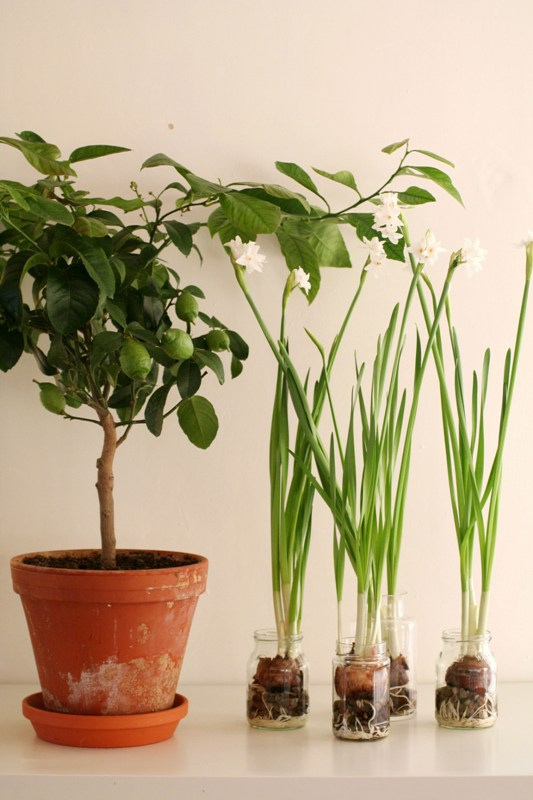 Life In Color: Spring has Sprung