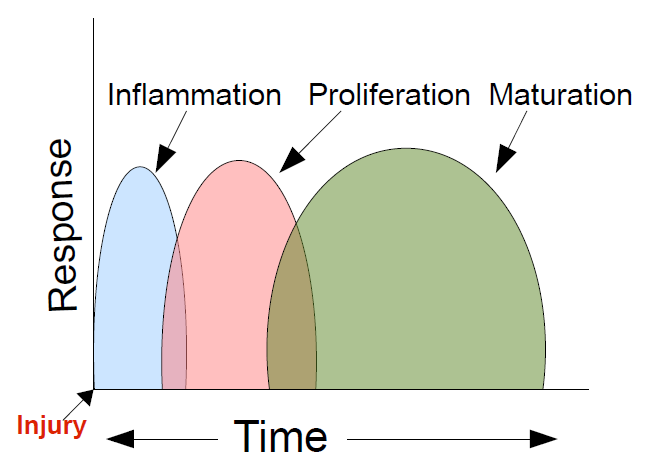 Tom's Physiotherapy Blog: 04/19/13