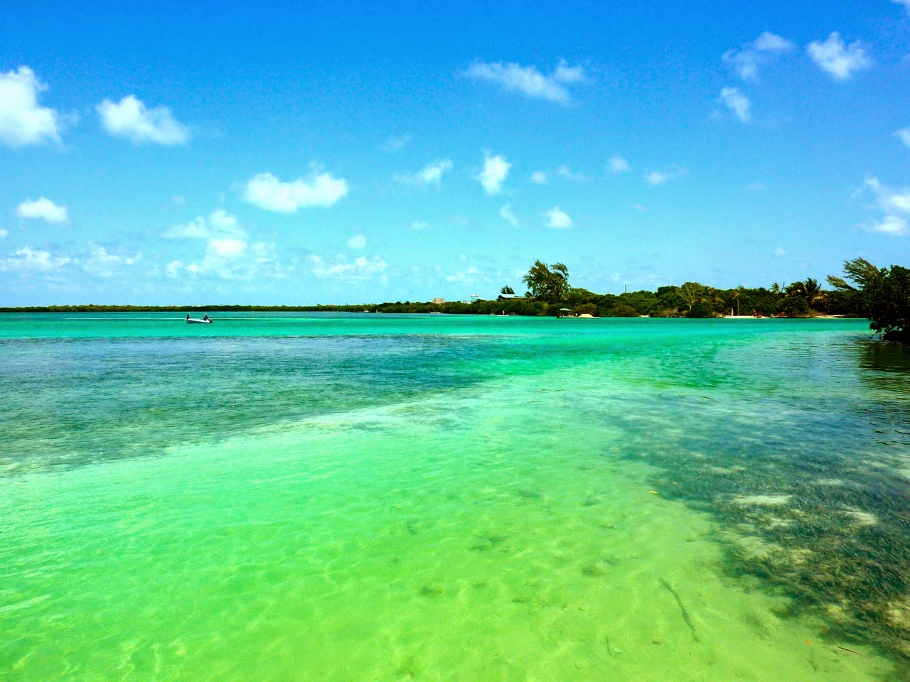 Hopefulist in Latin America: Last stop - Caye Caulker
