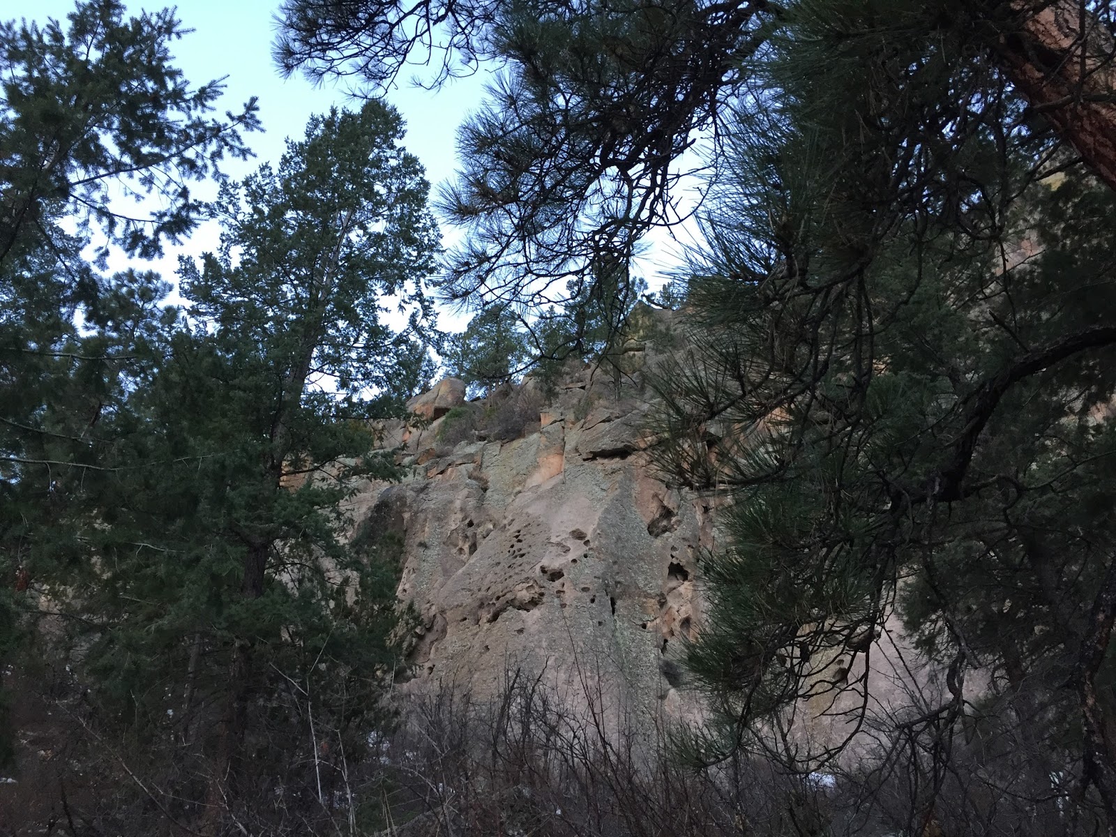 Nemophilosophy: Mousing An Owl