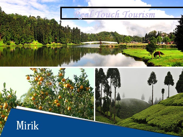Real Touch Tourism: Darjeeling,Siliguri, Mirik, tour package