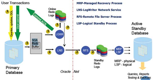 Learning Oracle: Oracle Data Guard