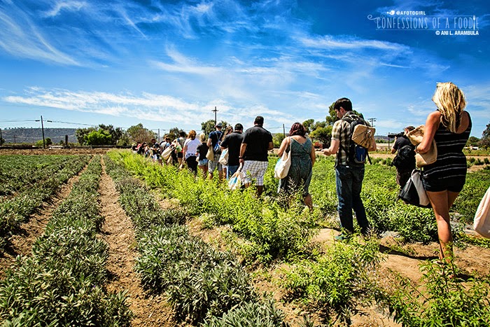 What do you get when you pair an organic farm with a luxury tequila ...