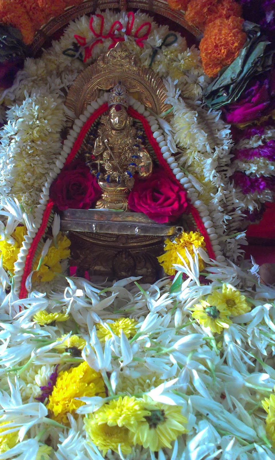 PANVEL BALAGAR: GURUSWAMY POOJA TODAY 10-11-2013 AT PREMA MALIGAIPURAM ...