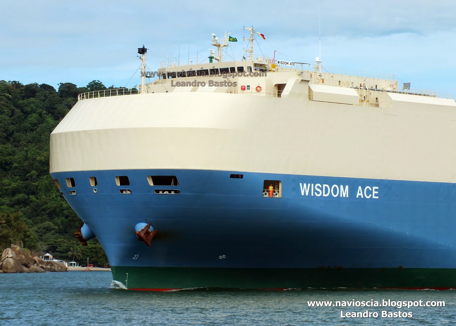 Navios de Santos & CIA: Navio WISDOM ACE