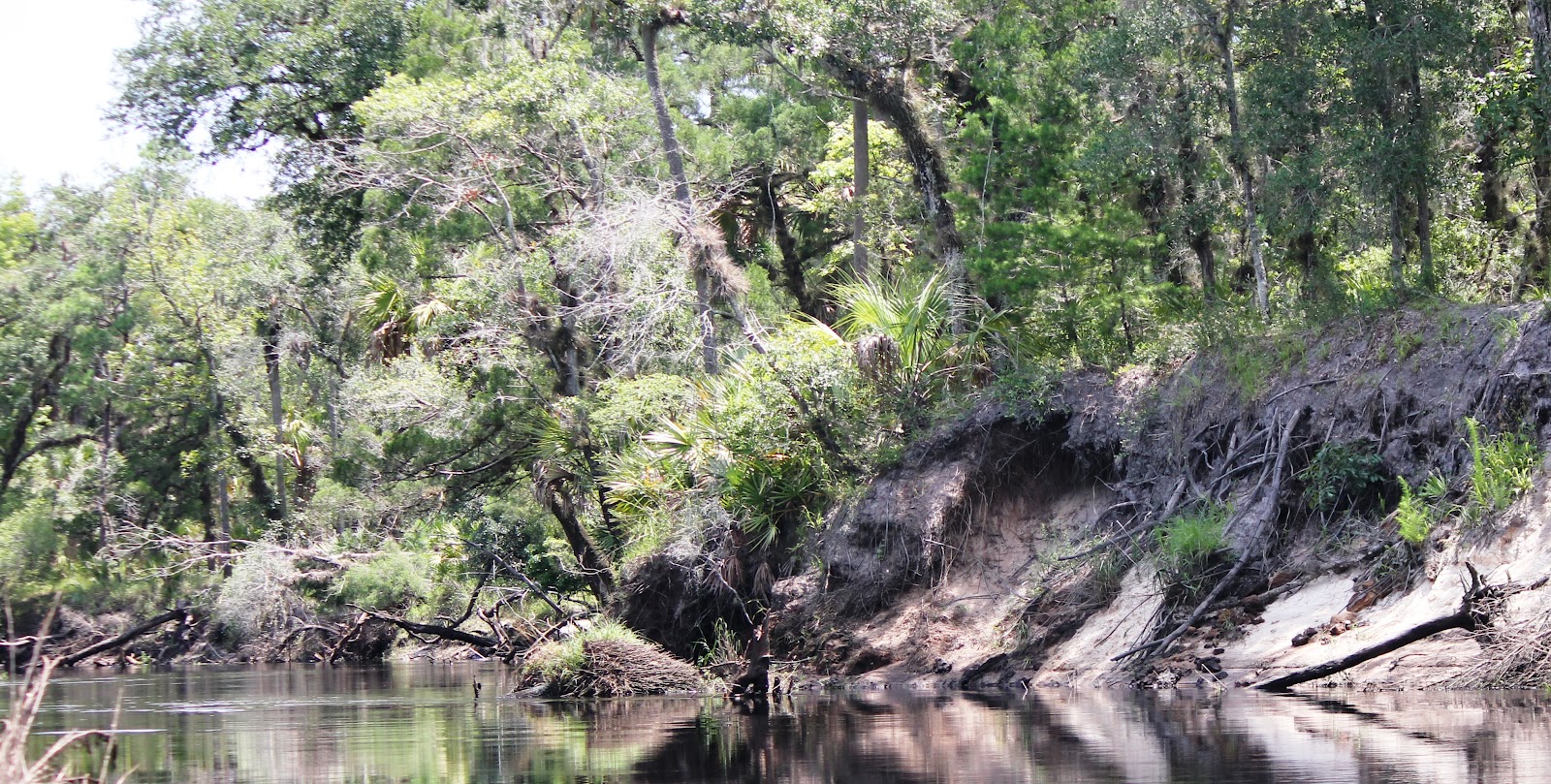 Views From Our Kayak: Econlockhatchee River
