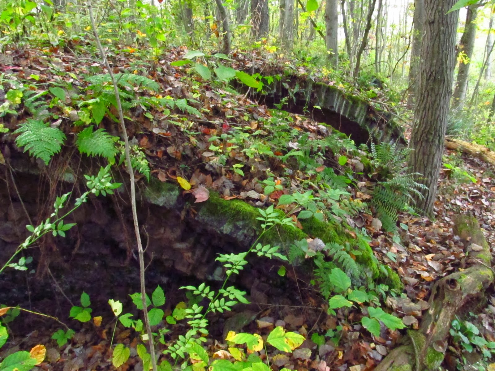 Old Industry of Southwestern Pennsylvania : Southwest No. 3/Tarrs, PA