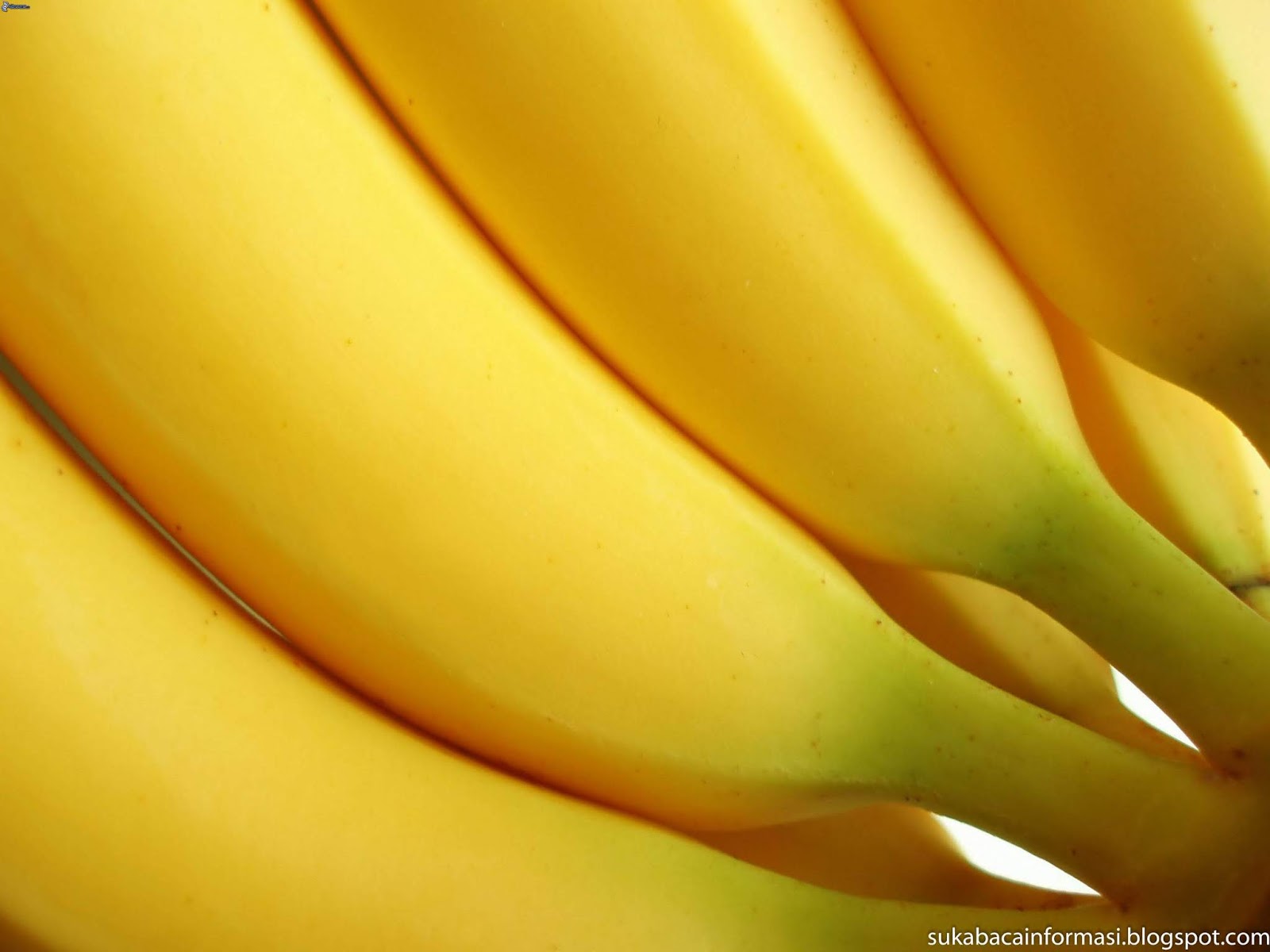 Koleksi Gambar Pisang