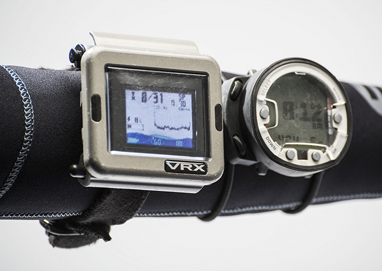 Journal and Conferences on Biomedical Engineering: Understanding Dive ...