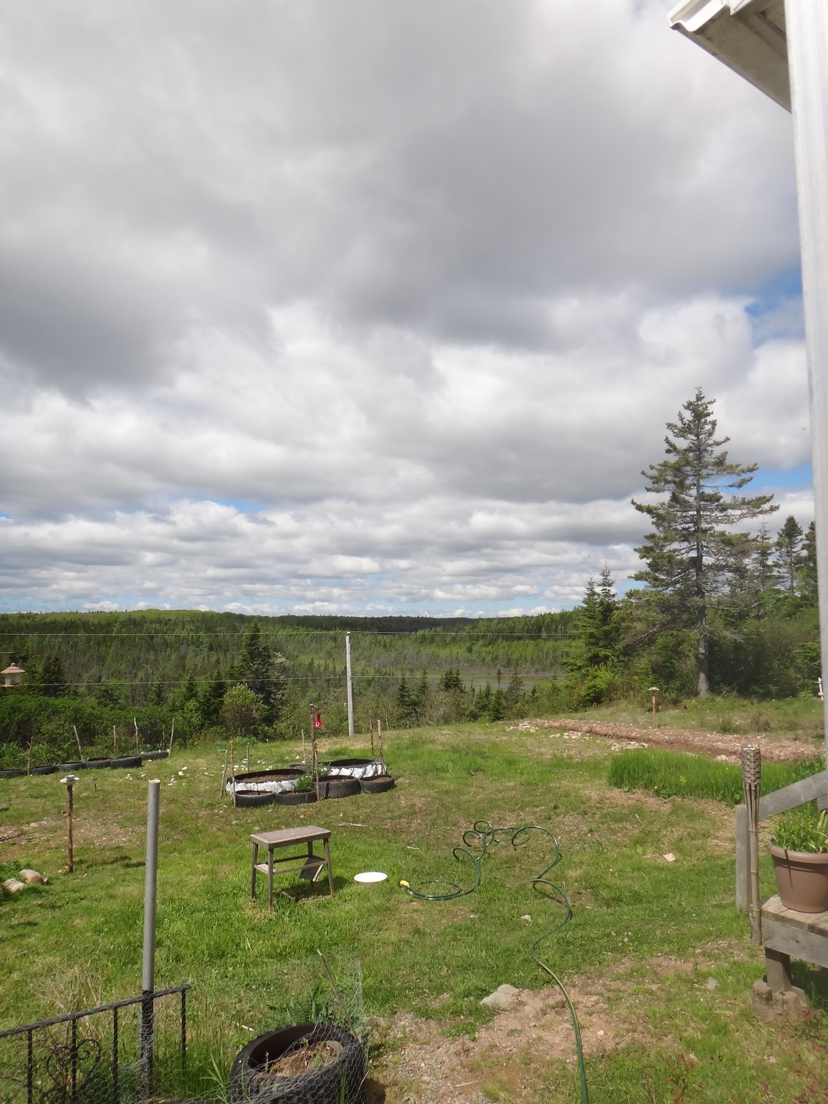 ~Framboise Manor~: june, june, junie, joon, june - jooney, juney, junie ...