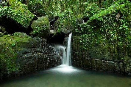 Pixel Emotions: Bosque Nacional "El Yunque" en Puerto Rico.