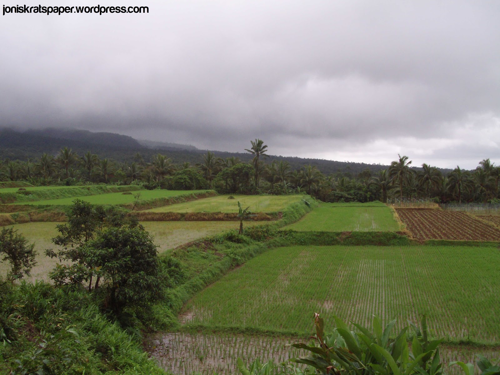 Perspectives in White Scratch Papers: Navigating Laguna Loop: Majayjay