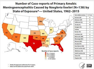 Avian Flu Diary: EID Journal: Estimation of Undiagnosed Naegleria ...
