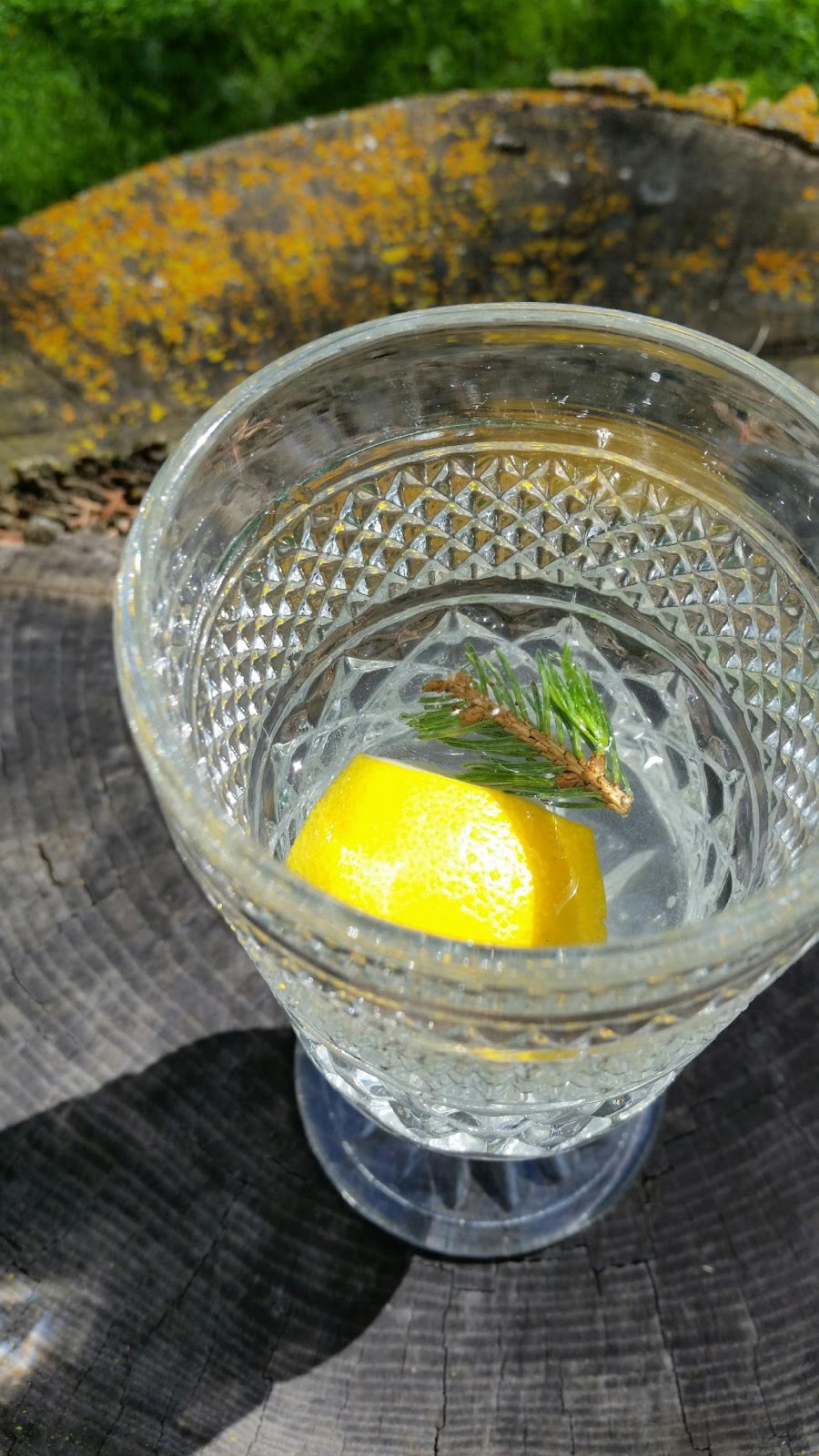 Mom's Hobby Farm: an evergreen syrup cocktail