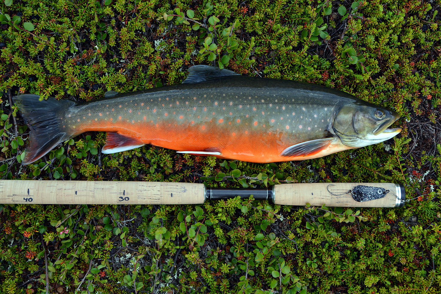 Bjarnes turblogg: Helt enkelt - enkeltkrok!