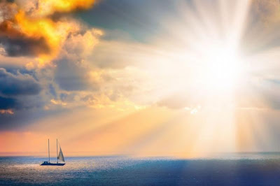 One Song Meow: True Light