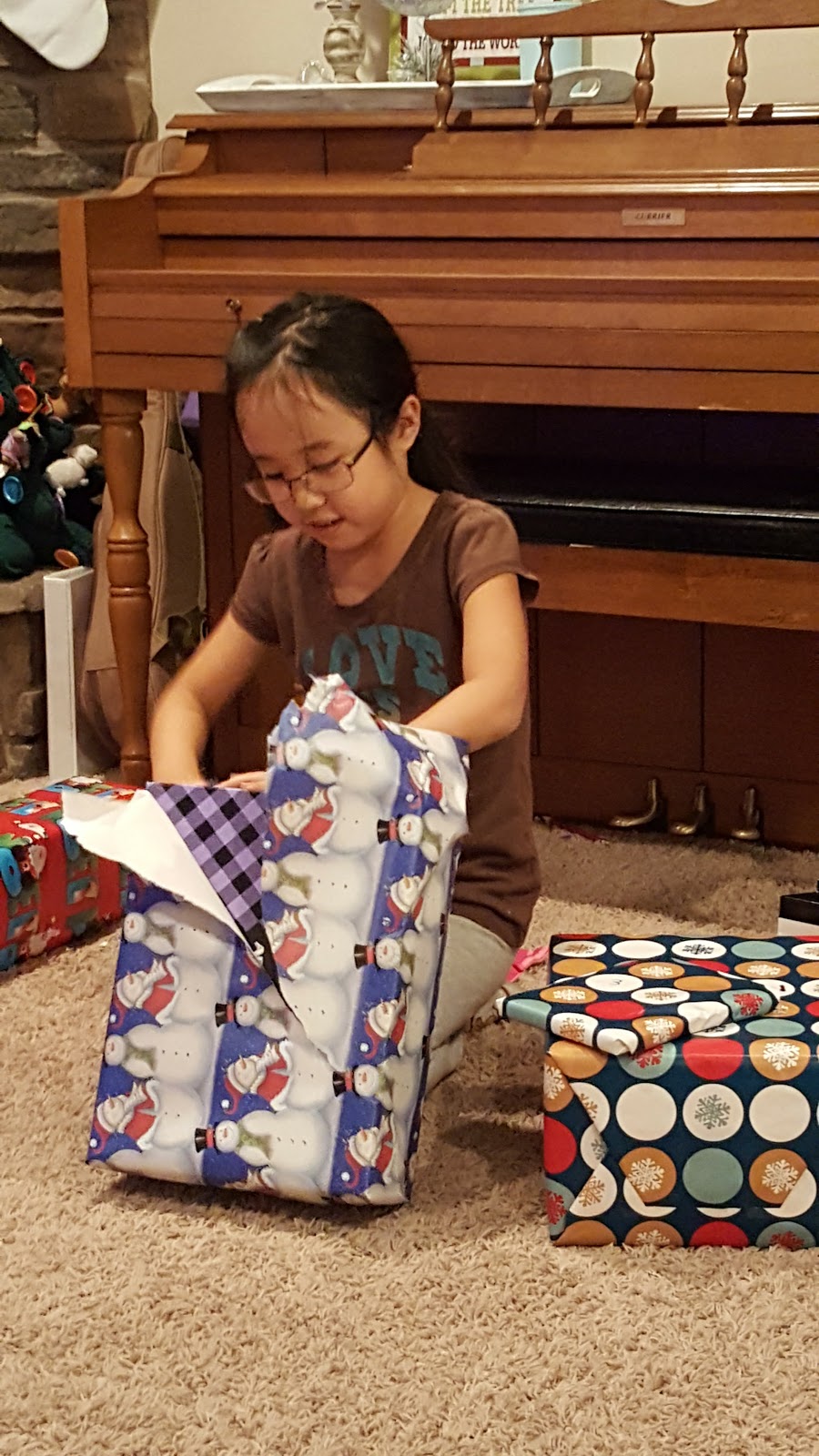 Life on Hubler Planet: 2016