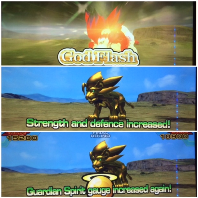 ANIMAL KAISER AND OTHER CARD GAMES: AXEL AND GOD FLASH