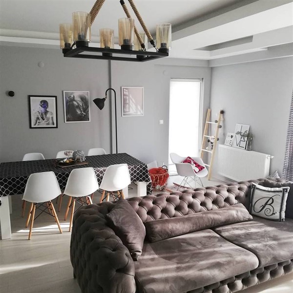 Latest Fashion Chester Seats for Living Room Decoration - Lady's Houses