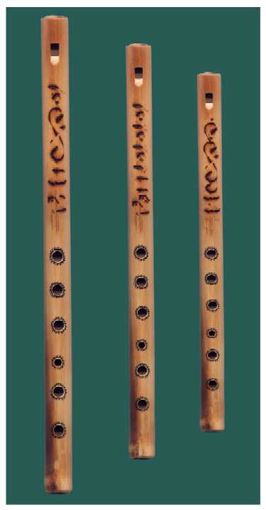 INSTRUMUNDO Instrumentos Musicales: Pincollo, Pinvollo, Pinquillo ...