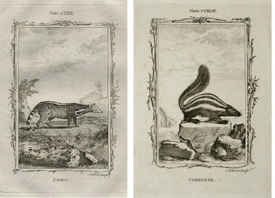 FLOS, 花, BLUME, FLOWER, 華，FLEUR, FLOR, ЦBETOK, FIORE: ルーベンス，ヤン・ブリューゲル（父 ...