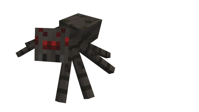MC: Spider / Spinne