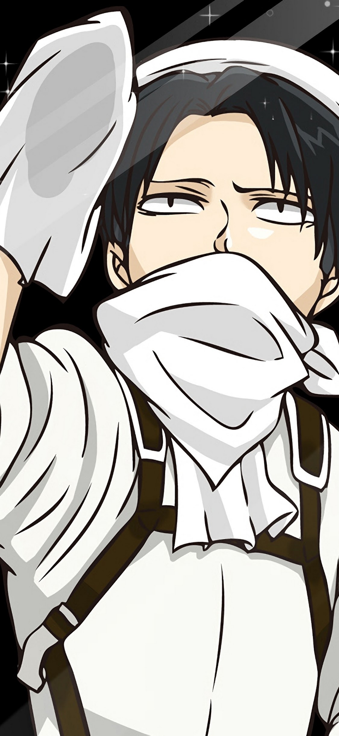 Transparent Levi Cleaning