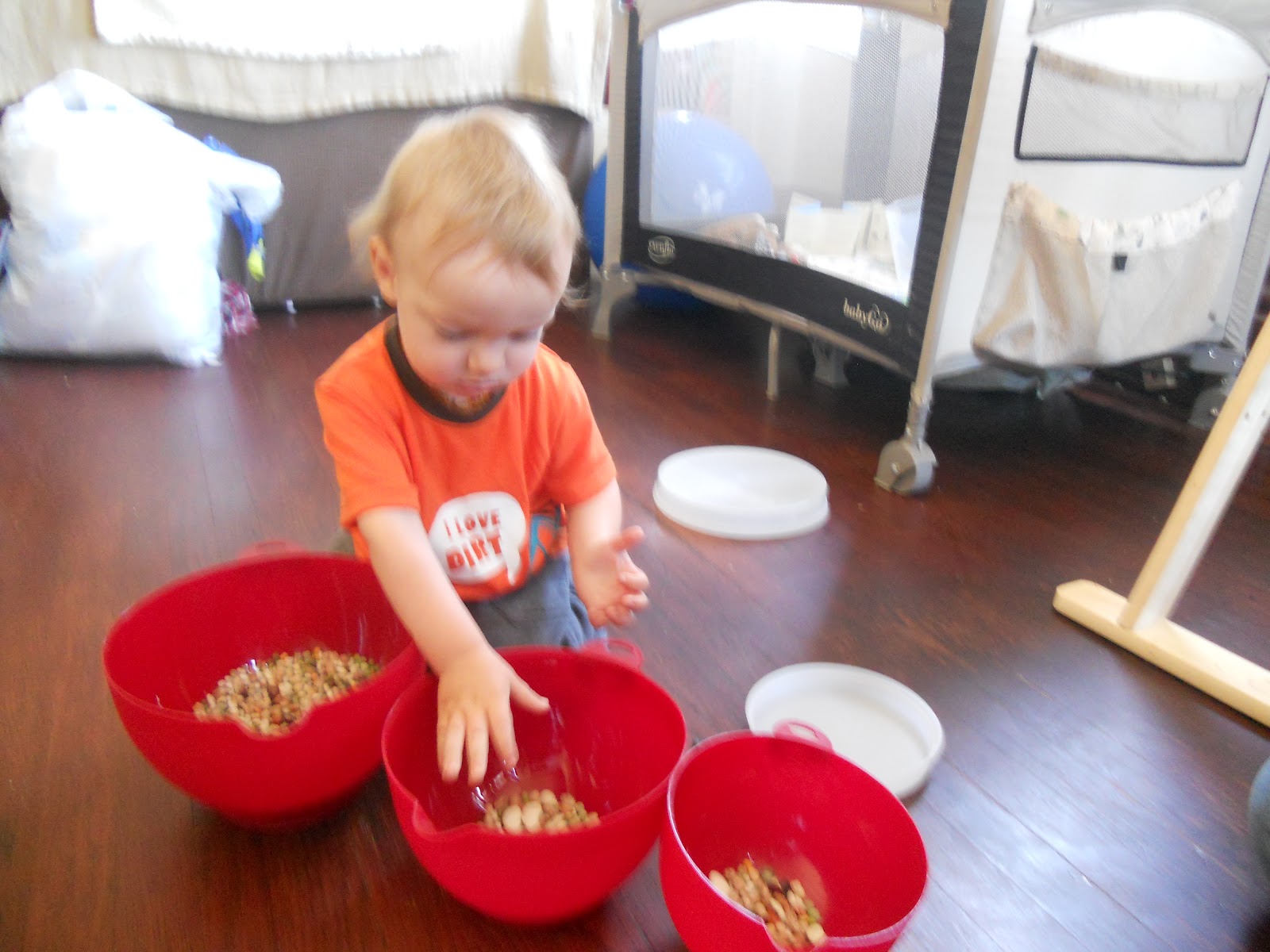 Sensory play with beans | Free Range Learning