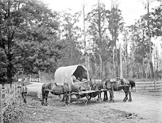 History in Photos: Daniel Manders Beere