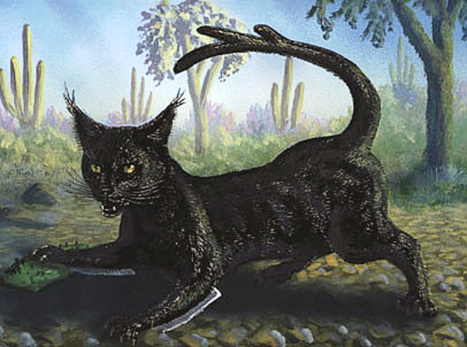 ShukerNature: CACTUS CATS, SPLINTER CATS, AND SLIVER CATS – THREE ...