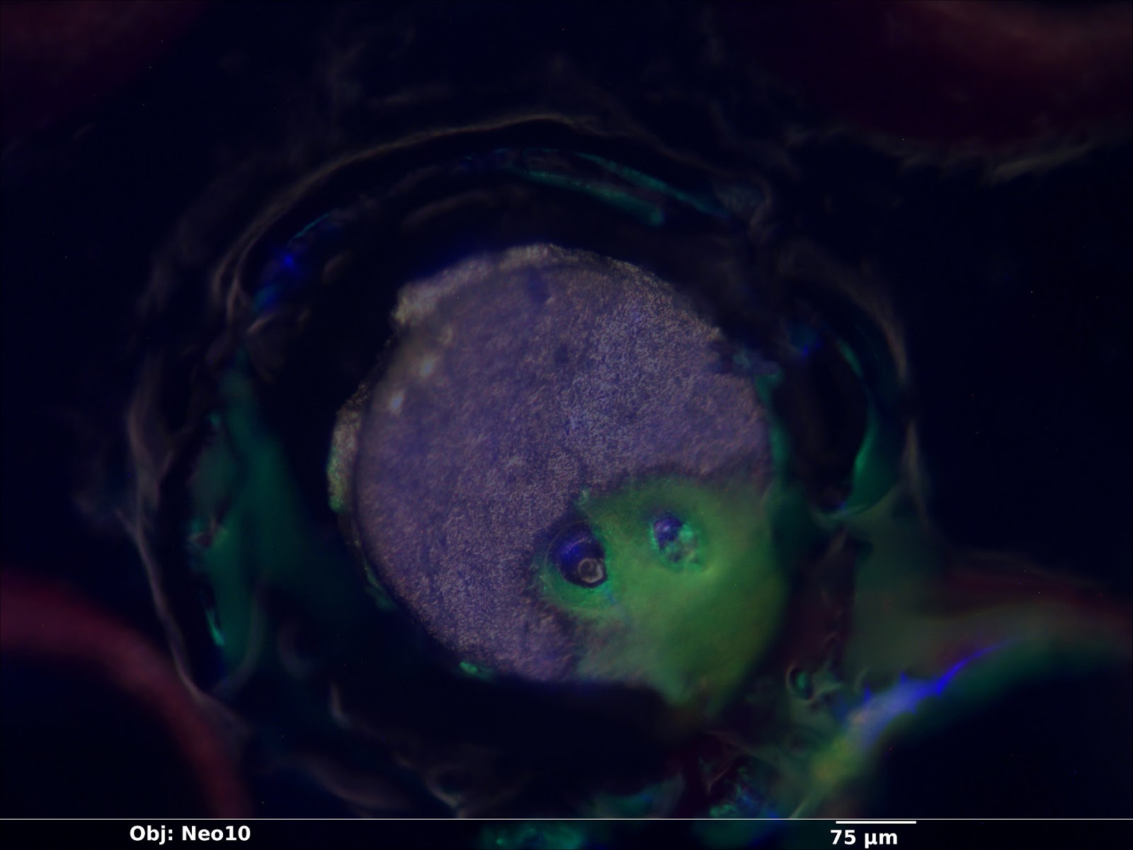 Silicon Exposed: More BGA process analysis