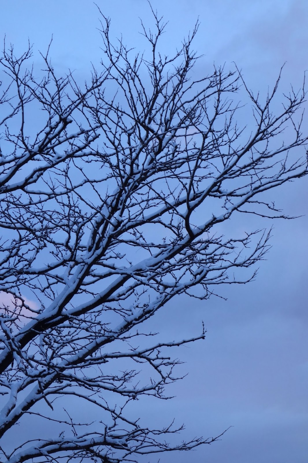 blah to TADA!: Forest Bathing Through the Seasons