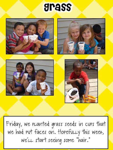 How Does Your Garden Grow? - Primary Press