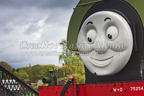 Creative Nature Blog: Bo'ness, Thomas the Tank Engine and Blackness Castle