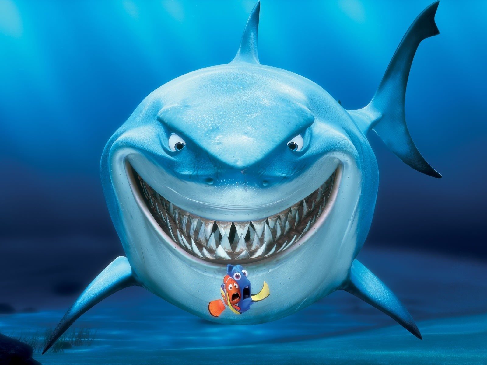 À Procura de Nemo | Começa a campanha para lançamento nos cinemas em 3D ...
