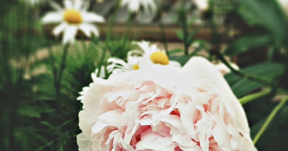 sweetsugarbean: Bye Bye Google Reader...