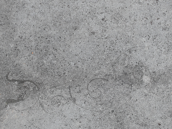 Chazy Reef - Part II ~ Hudson Valley Geologist