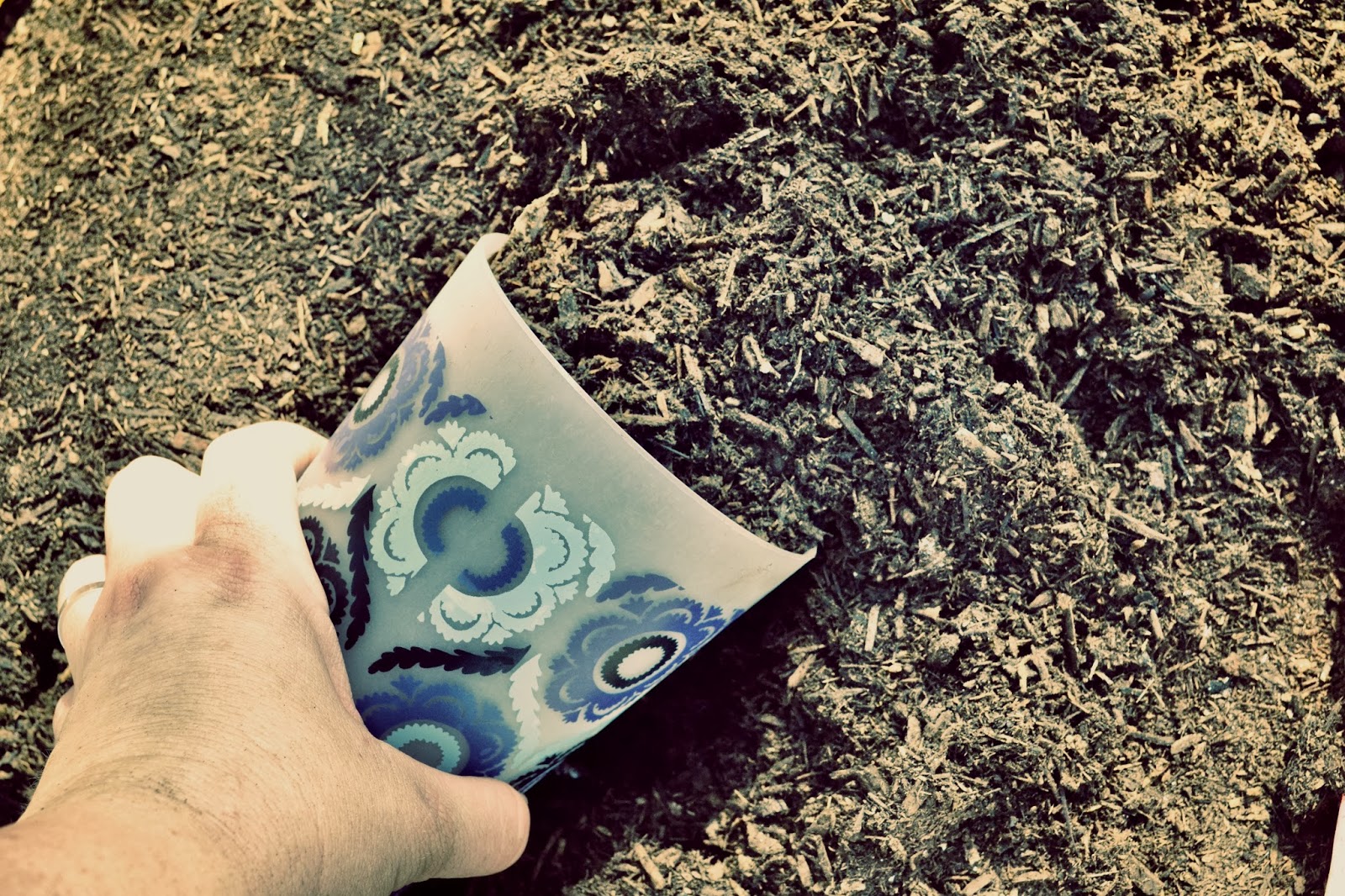 Where the Blue Birds Nest: DIY - Front Yard Reseed Project - Day 2