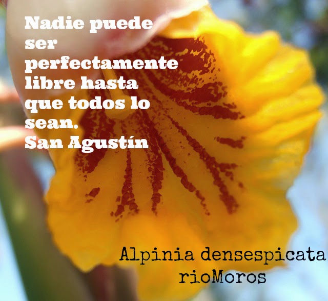 Nadie puede ser perfectamente libre hasta que todos lo sean. San ...