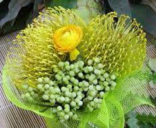 A Passion for Flowers: Berzelia – Texture for the Senses